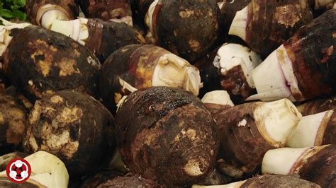 Vegetables 蔬菜 taro - YouTube