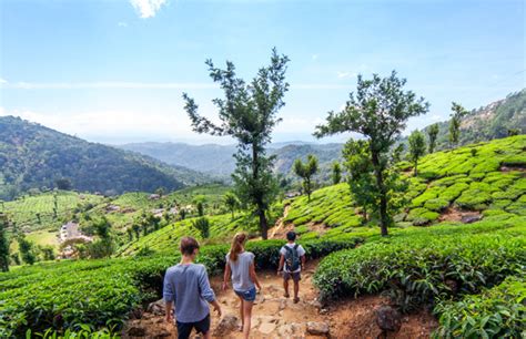 Karma Munnar Kerala India South India 7across Resort Profile