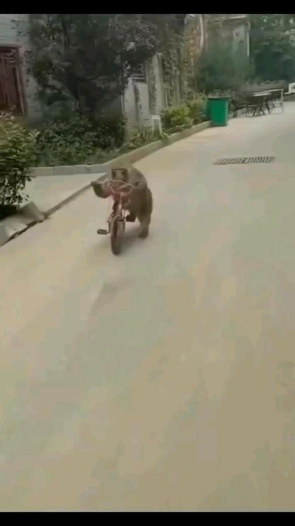 Edifysphere Edifysphere • Instagram Photos And Videos