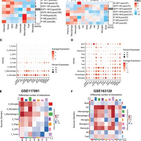 Gene Sets Expression Activity And Cell Cell Interaction In Sing Cell Download Scientific