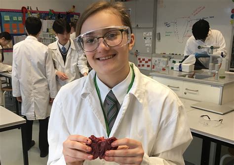 Year 10 Heart Dissections