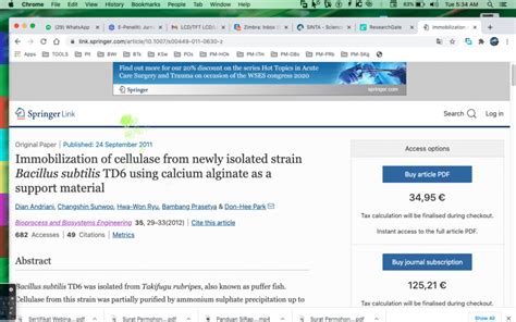 Pdf Immobilization Of Cellulase From Newly Isolated Strain Bacillus