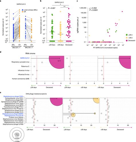 Sars Cov 2 Viral Load And Virus Metatranscriptome Analyses A B Copies Download Scientific