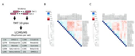 Phosphoproteomic Profiling Of Inhibitor Treated Hela Cells A Download Scientific Diagram