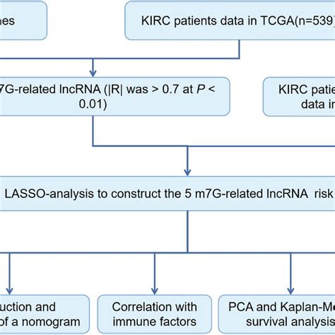 The Research Process Flowchart Download Scientific Diagram