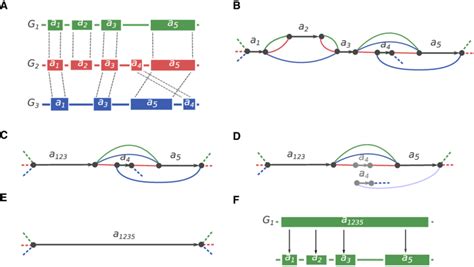 Synteny Blocks Reconstruction Algorithm A Three Genomes G 1 G 2 Download Scientific