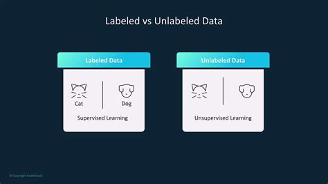 Data Types In Ai Models Kodekloud