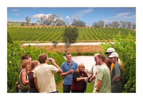 트립어드바이저 최고의 와인and와이너리 투어 Top 10 선정