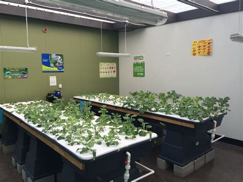 Aquaponics Systems Fresh By Design