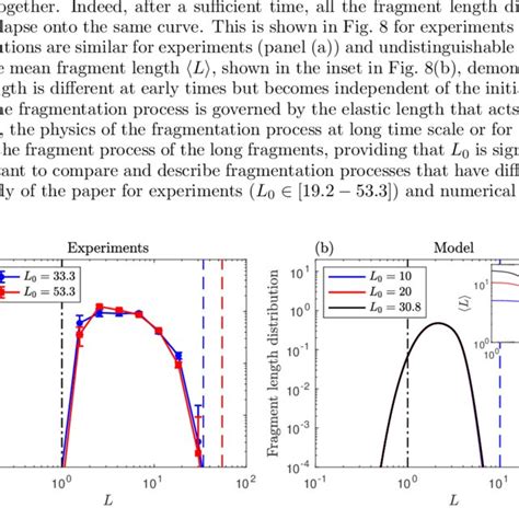 Fragment Length Distributions With Different Initial Fibre Lengths L0