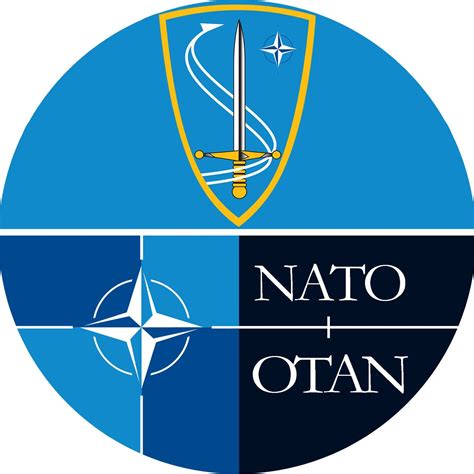 Nato The Senatul României Delegation By Ms Anca Dana Dragu Right