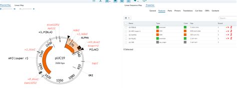 incorrect feature recognition in the dna viewer · issue 4465 · elabftw