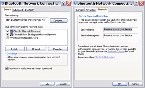 Windows Xp Networking Guide Bluetooth Services Page 5 Of 6 Pan