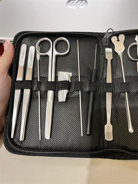 Complete Dissecting Kit Hobbies And Toys Stationary And Craft Stationery And School Supplies On
