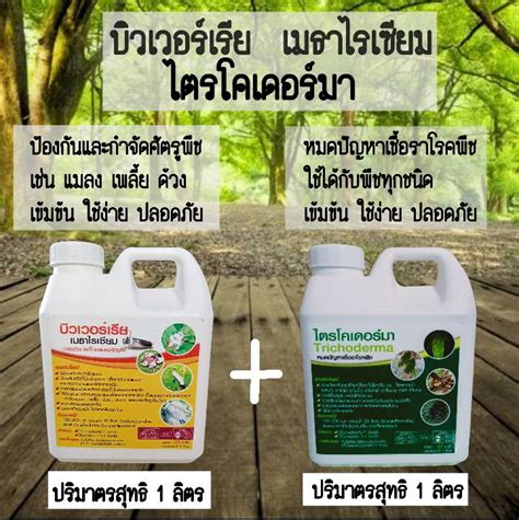 บิวเวอร์เรีย เมธาไรเซียม ไตรโคเดอร์มา ขนาด 1 ลิตร ป้องกันและกำจัดศัตรูพืช หนอน เพลี้ย แมลง ด้วง