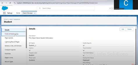 Text Types Custom Fields In Salesforce Crs Info Solutions