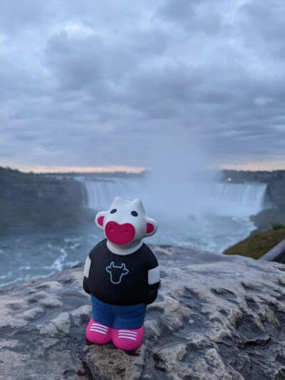 Who Is Moogsoft Moogsoft About Us