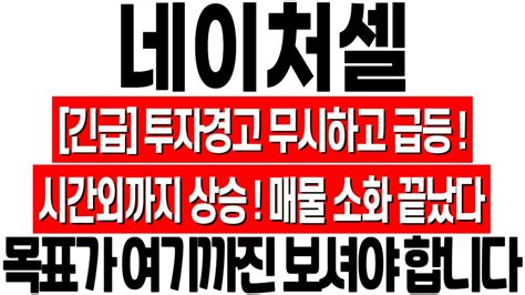 네이처셀 주가 전망 투자경고 무시하고 급등시키는 세력 시간외 상승 마감 네이처셀 주식 전망 네이처셀 목표가 분석 네이처셀 조인트스템 줄기세포 네이처셀 상한가