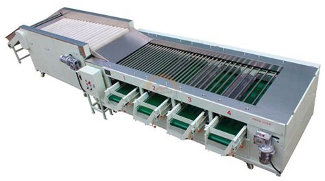 Automatic Fruit And Vegetable Size Sorting Grading Sizing Machine Potato Citrus Dates Orange