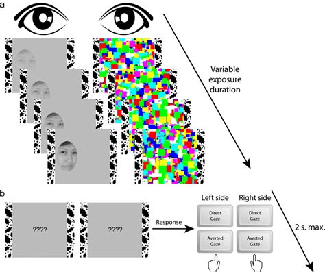 Schematic Description Of A Trial In Experiment 2 A Stimulus