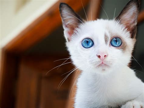 Alicia Gribbins Instagram Twitter And Facebook On Idcrawl