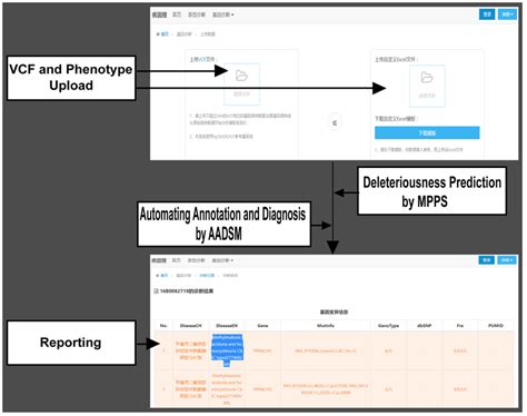 Automating Annotation And Diagnosis System For Mendelian Disease