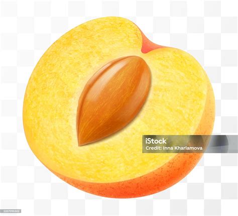 투명한 배경에 고립 된 돌과 함께 신선한 익은 살구의 절반 건강한 음식 채식 다이어트의 개념 현실적인 3d 벡터 그림 3차원 형태에 대한 스톡 벡터 아트 및 기타 이미지