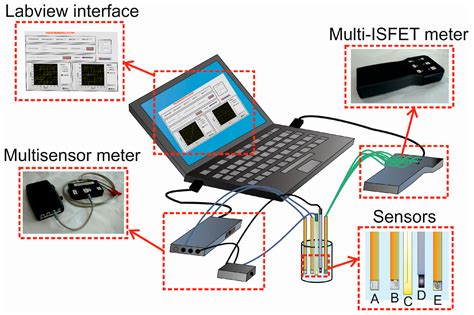 Sensors Free Full Text Portable Electronic Tongue Based On Microsensors For The Analysis Of