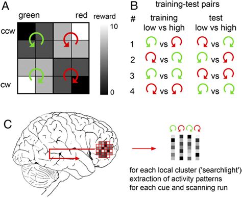 multivariate pattern classification a cues were sorted into four