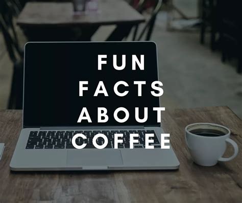 20 Fun Facts About Coffee Coffee Informer Artofit