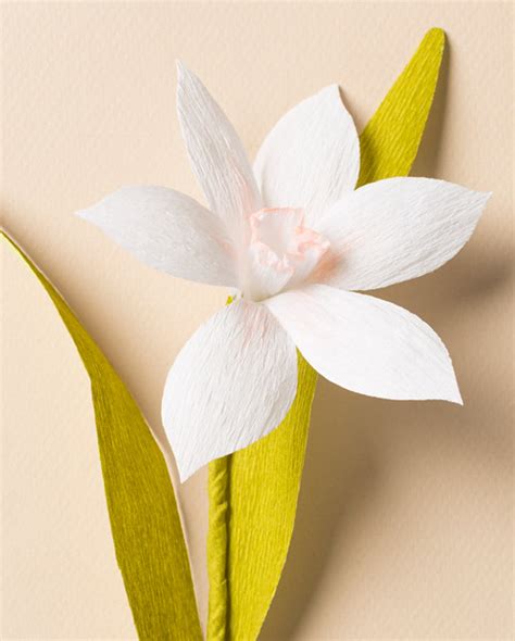 35 Stunning Paper Flower Examples All Things Paper