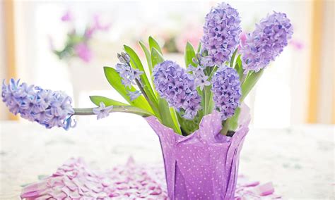 Purple Spring Blossom Pastel Color Palettes