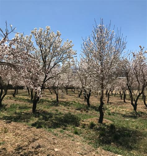 Beril Başaran Beril Basaran • Instagram Photos And Videos