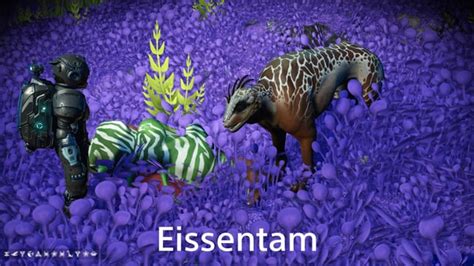 Mick Jagger Sex Iguana Rdanlebatardshow