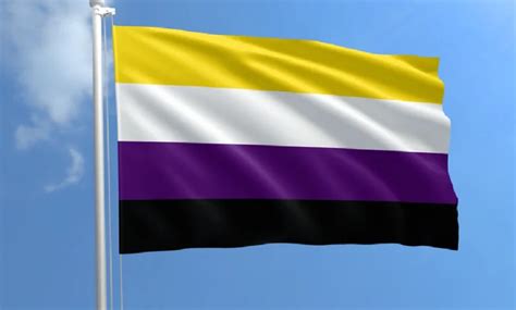 Non Binary Pride Flag And Non Binary Flag Meaning