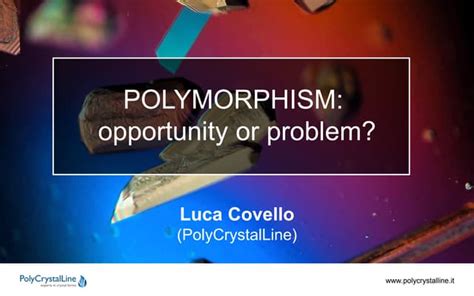 Polymorphism Opportunity Or Problem Pdf