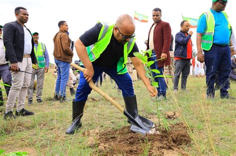 ኢትዮጵያ ከተረጅነት ለመውጣት እያከናወነች ላለው ተግባር የአረንጓዴ አሻራ መርኃ ግብር ትልቅ አቅም ነው ኢዜአ አማርኛ Ena