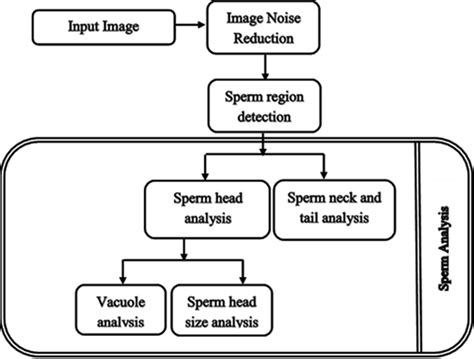 The Proposed Algorithm Download Scientific Diagram