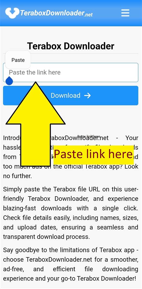 Terabox Link Bypass Website