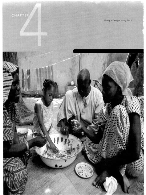 Pdf Ruben Ch 4 Culture Dokumen Tips