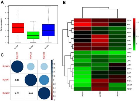 Figure 10 From Prognostic Value And Immune Characteristics Of Runx Gene
