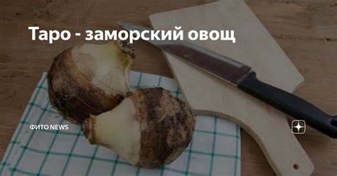 Таро - заморский овощ | Фито News | Дзен