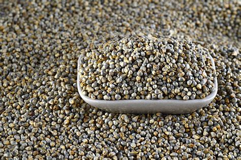 Bajra Background Images HD Pictures And Wallpaper For Free Download Pngtree