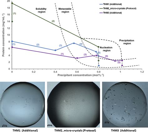 Growing Protein Crystals With Distinct Dimensions Using Automated