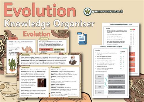 Year 6 Science Evolution Knowledge Organiser Grammarsaurus
