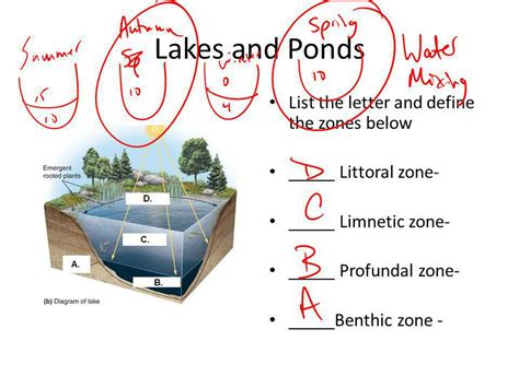 Biomes Ppt Video Online Download