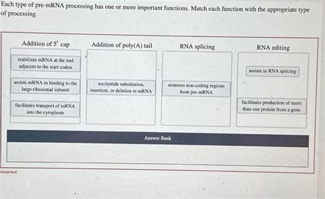 Solved Each Type Of Pre Mrna Processing Has One Or More