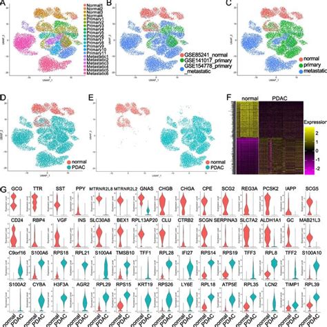 Epithelial Cell Lineage Extraction From The Integrated Scrna Seq Data