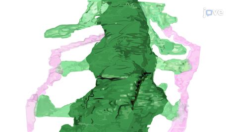 Video Focused Ion Beam Scanning Electron Microscopy For 3d