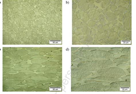 Microstructure Of Wsc A Liquid Phase Sintered 500 And Download Scientific Diagram